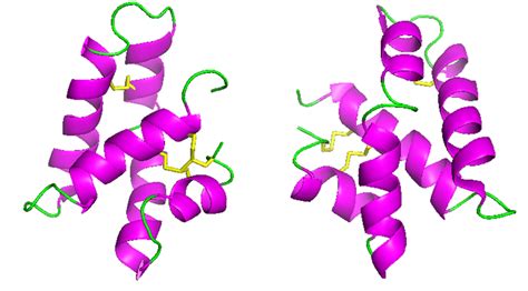 Three Dimensional Structure Of The Ssp 5 Conformers A Cis Isomer