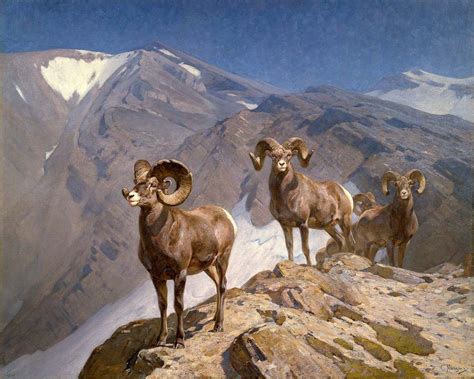 Center Shares Carl Rungius Paintings With National Museum Of Wildlife Art
