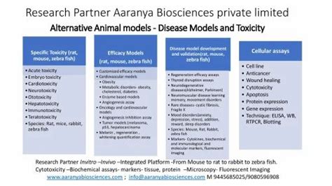 Positive Material Identification At ₹ 1000 In Chennai Id 2852605992812