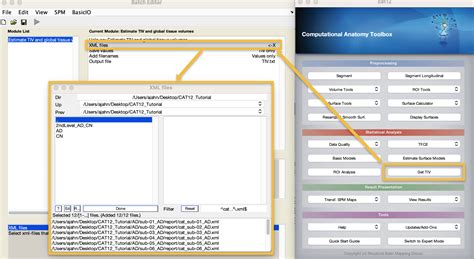 Cat12 Tutorial 4 Group Level Analysis — Andys Brain Book 10 Documentation