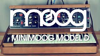 Moog Minimoog Model D What To Know Where To Buy Equipboard