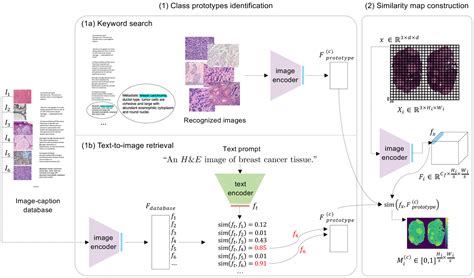 A Self Supervised Method For Body Part Segmentation And Keypoint