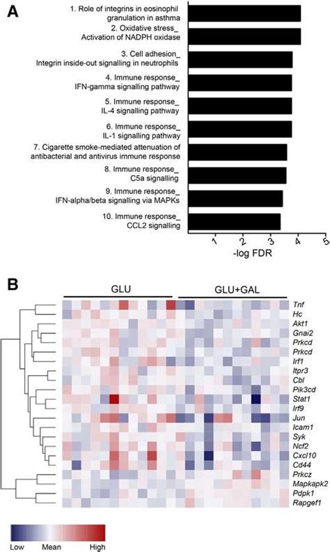 Most Affected Pathways And Concurrent Genes In Whole Genome Gene Download Scientific Diagram