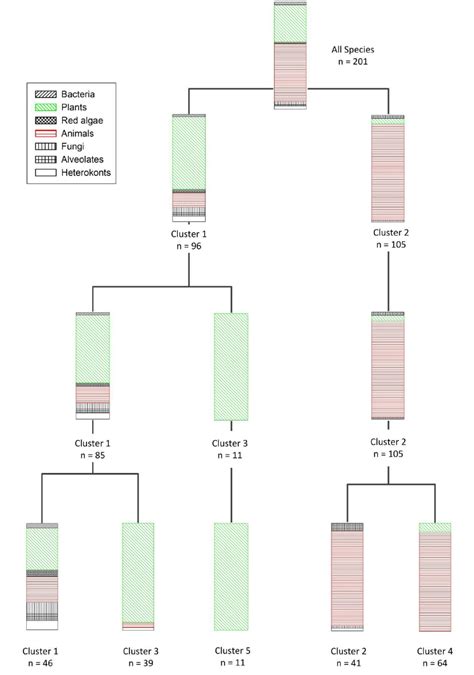 Results Of Cluster Analyses Depicted As A Schematic Dendrogram 201