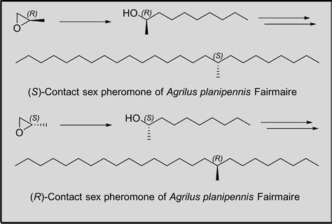 Asymmetric Synthesis Of The Contact Sex Pheromone Of The Emerald Ash