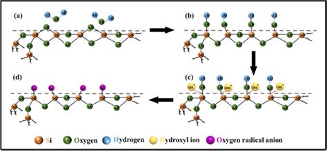 Schematic Of Chemical Reaction At The Surface Of SiO2 Film A Download Scientific Diagram