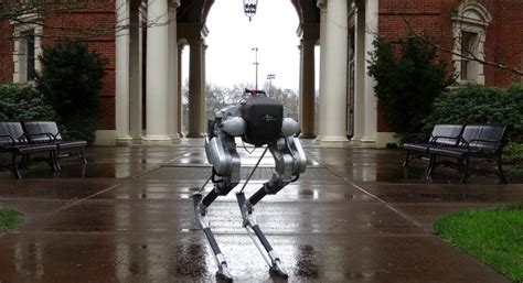 Agility Roboticsin 5 Kilometre Koşabilen Robotu Cassie Ile Tanışın