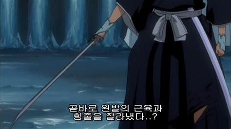 투디갤 쿠치키 뱌쿠야 블리치 최고의 미인이자 상남자