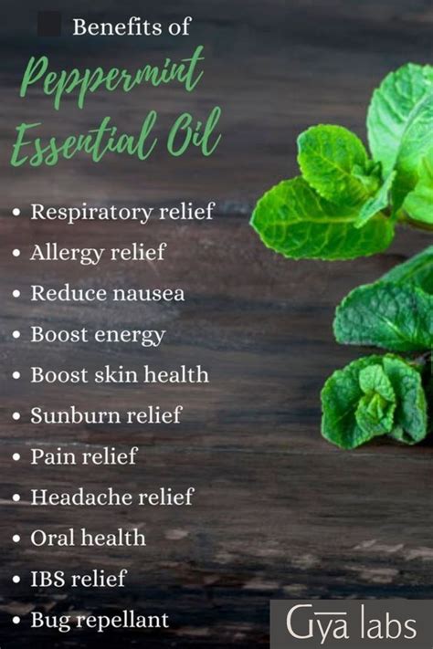 Peppermint Oil Benefits Uses How To Use Cautions Peppermint
