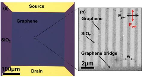 A Optical And B Sem Image Of Graphene Nanoribbon Array Device In
