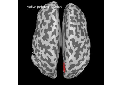 Single Simulation Reg Connectivity Documentation
