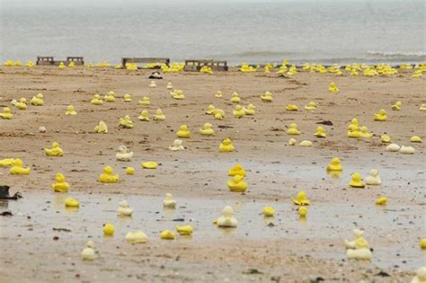 The 1990s Friendly Floatees Are Still Out There ⋆