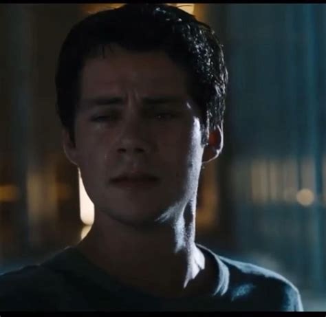 Maze Runner Edit Maze Runner Maze Runner Movie Maze Runner Trilogy