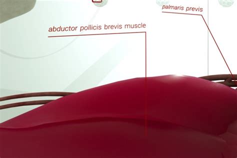 Virtual Reality Education Of The Future Vr Porn Blog