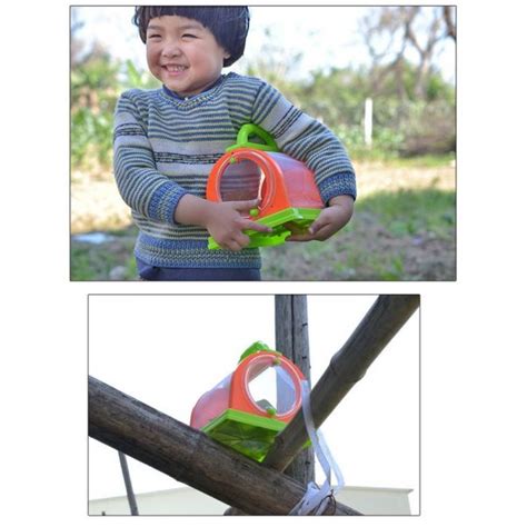 Insect Observation Box Assorted Colors T For Toys