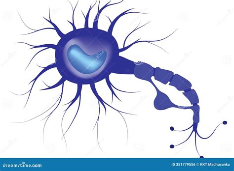 Motor Nerve Endings Vintage Illustration 163216062