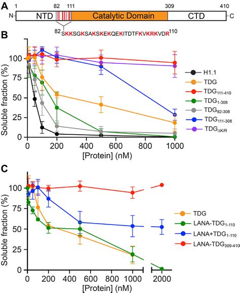 Tdg Mediated Chromatin Oligomerization Is Dependent On Its N And Download Scientific Diagram