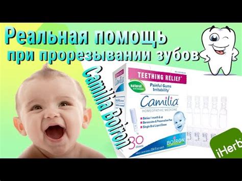Лучшее средство ПРИ ПРОРЕЗЫВАНИИ ЗУБОВ | Camilia Boiron🐰 - YouTube