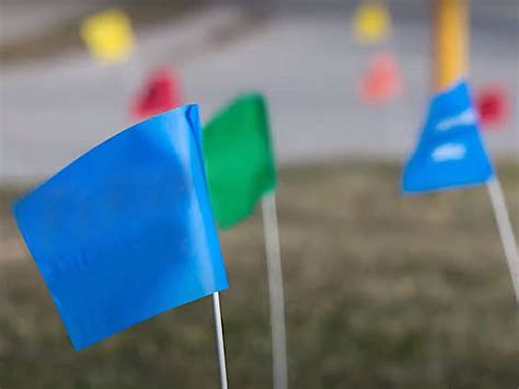 When Can I Remove Utility Flags In My Yard