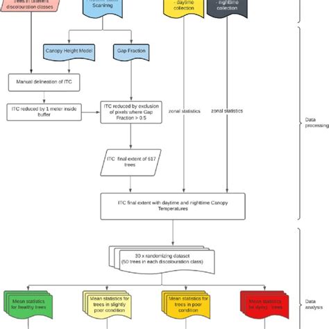 Workflow Of Data Processing Creating Individual Tree Canopies Itc Download Scientific