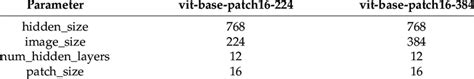 Training Parameters For Vit Base Patch16 224 And Vit Base Patch16 384 Download Scientific Diagram