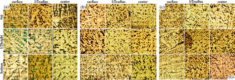 Dendrite Morphology Of Steel Ingots A Reference Ingot B Ingot Download Scientific Diagram