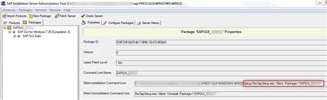 patch in den sapgui setup integrieren und ein eigenes setup package