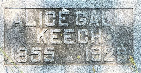 Sarah Alice Alice” Gall Keech 1855 1929 Homenaje De Find A Grave