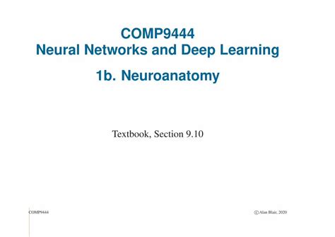 PDF COMP9444 Neural Networks And Deep Learning 1b Neuroanatomy