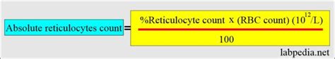 Reticulocyte Count Retic Count And Interpretations