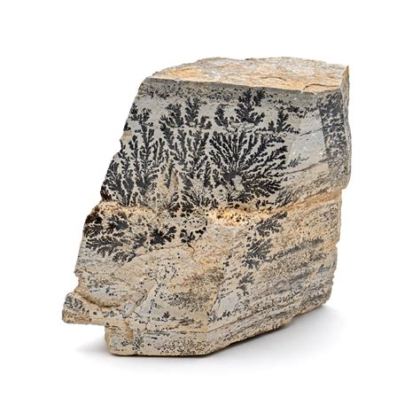 Dendrite Crystal Sandstone 297 Mini Museum
