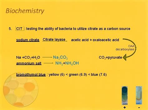 Api E Principle The API E
