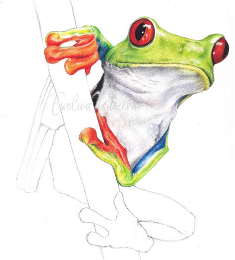 How To Draw A Frog With Colored Pencils A Step By Step Tutorial Artistic Blog Learn How To
