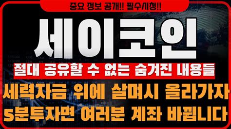 세이코인 전망 세력자금 위에 살며시 올라가자 5분투자면 여러분 계좌 바뀝니다 Youtube