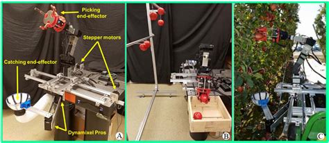 Recent Advances In Intelligent Automated Fruit Harvesting Robots