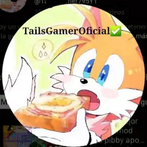 Tails Gamer Yt Youtube