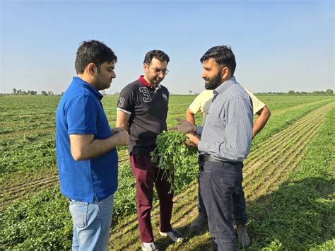 Rab Nawaz On Linkedin Alfa Alfa In Pakistan 🇵🇰 10 Comments