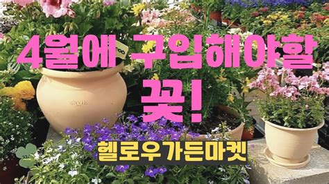 헬로우가든마켓 🌳4월에 구입해야할 꽃🌺피뿌리풀🌸아주가🌸백조자스민 🌸추자도 사랑초🌸단풍잎아재비🌸이끼용담🌸에스키모분꽃나무🌸수국 🌸넝쿨장구채🌸 매도우세이지🌸홍자단🌸오소나투카타