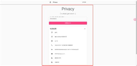 分享一个隐私泄漏检测网站 搞七捻三 Linux Do