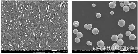 热场发射扫描电镜能检测什么？fib Ebsd Eds 知乎