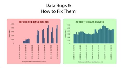 Data Bugs How To Fix Them