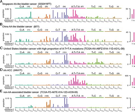 Mutation Spectra And Strand Bias Of Examples Of Cancers With And