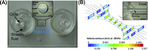 2 A Microfluidic Cytometer Based On The 2d Hydrodynamic Focusing Download Scientific Diagram