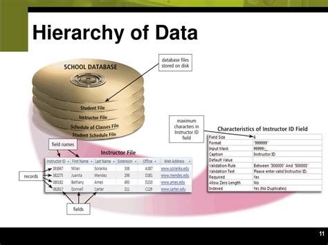 PPT Chapter 9 Database Systems PowerPoint Presentation Free Download ID 2647986