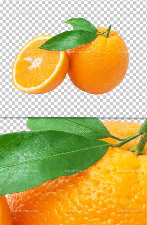 عکس پرتقال دوربری شده گرافیک با طعم تربچه