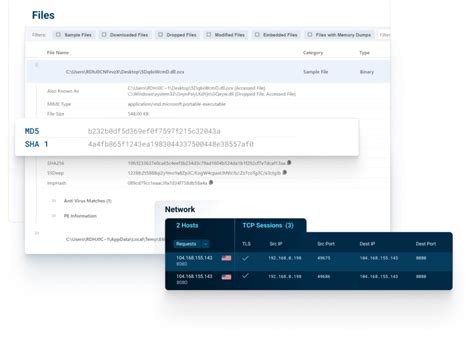 Threat Hunting Solutions With Vmray