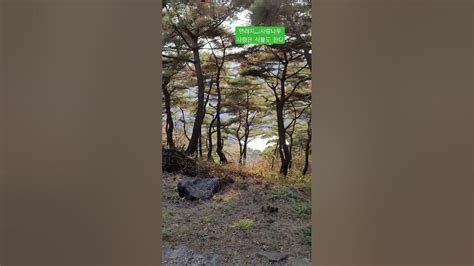 연리지충북 제천뿌리가 다른 두개의 나뭇가지가 서로 엉켜 마치 한나무처럼 자라는 현상이다 마치 천생연분인것처럼 아름답다 Youtube