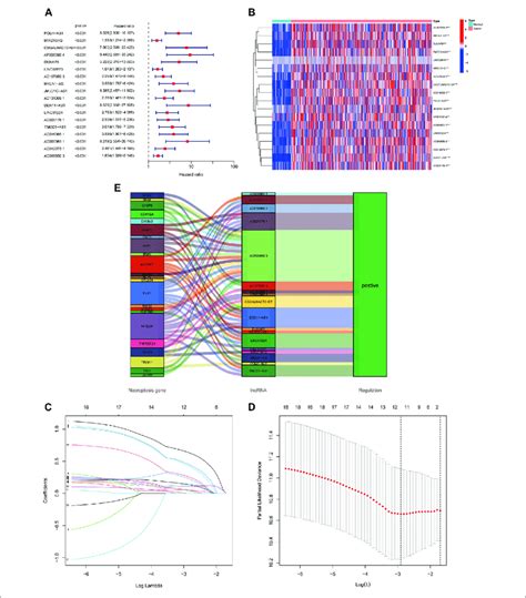 Identification Of Necroptosis Related Lncrnas Prognostic Signature Download Scientific