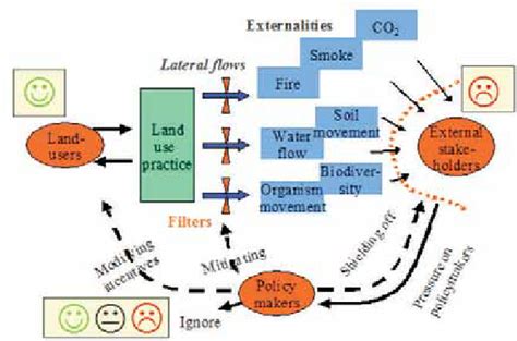 Figure D Enhancement Of Buffer And Filter Functions That Shield Download Scientific Diagram