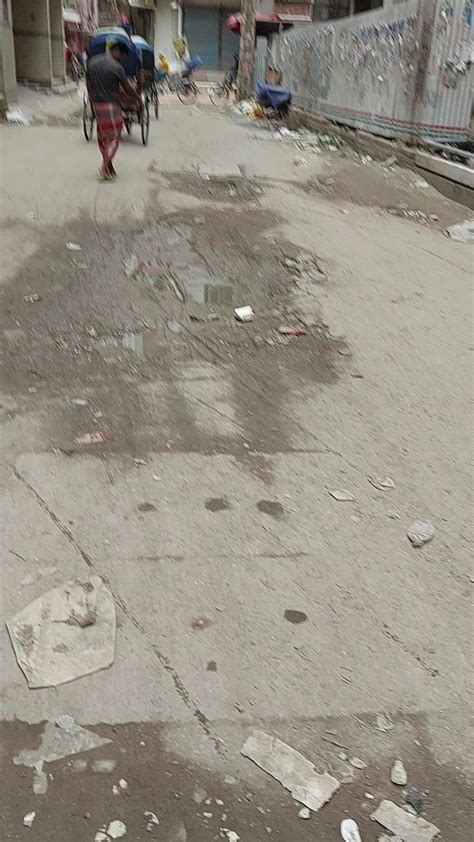 street object detection portrait object detection dataset by street
